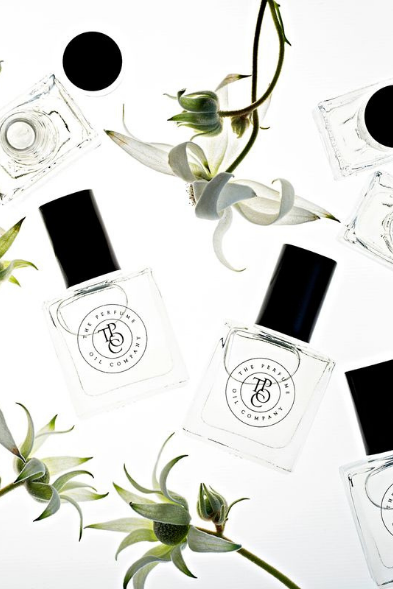 The Perfume Oil Fragrances – Mabel and Woods